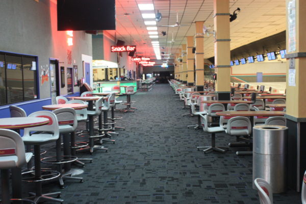 Bowl - Flamingo Bowl