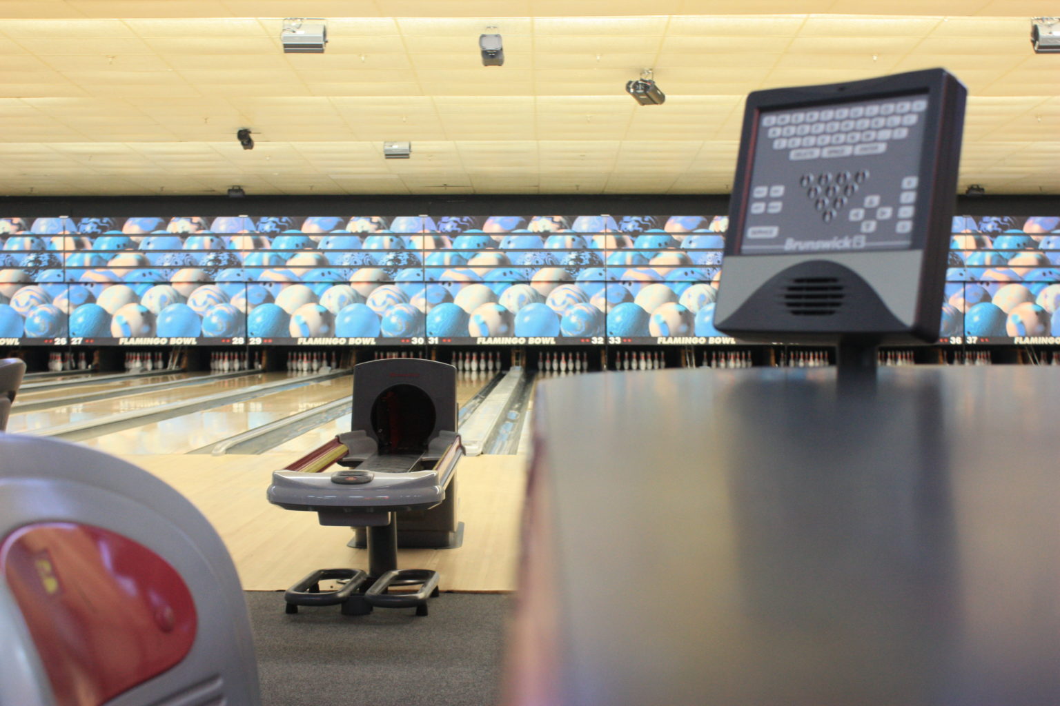 Bowl - Flamingo Bowl